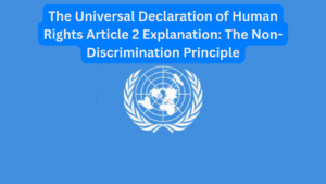 The Universal Declaration of Human Rights Article 2 Explanation: The ...